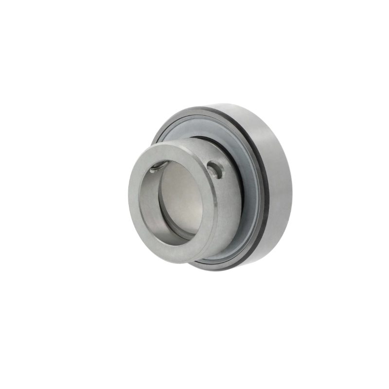 INA bearing RAE20-NPP-NR, 20x47x31 mm | Tuli-shop.com